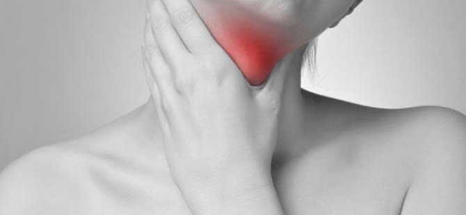 Tiroid Bezinin Görevi Nedir? Vücutta Tiroid Bezi Nerede Bulunur Ve ...